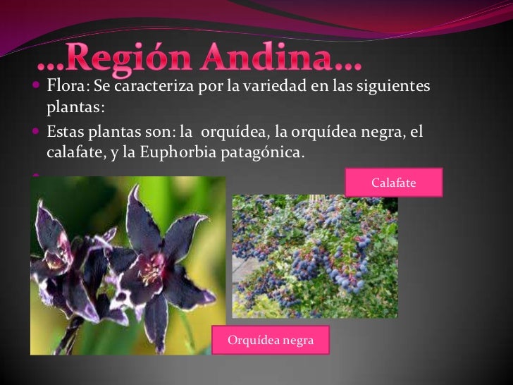 juliana molinares aguas: las regiones de colombia