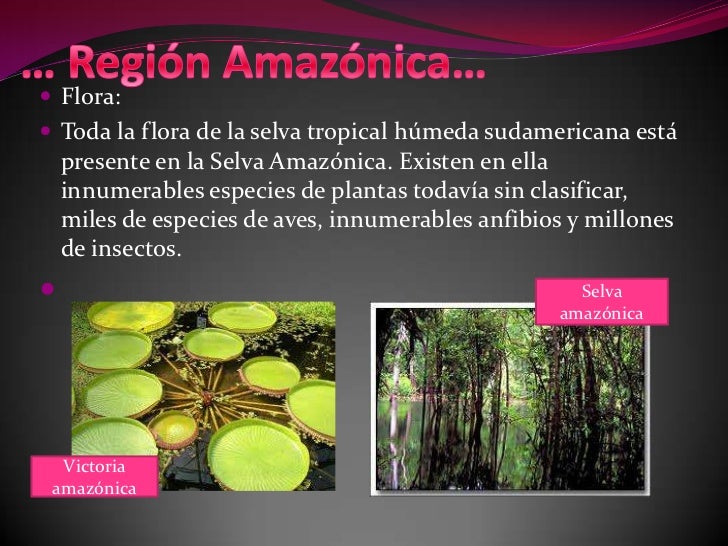 juliana molinares aguas