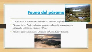 Fauna y flora en peligro de extinción (páramo) por Lilian Sandoval | PPTX