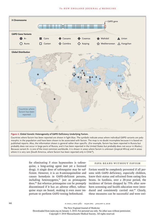 Favism and Glucose-6-Phosphate Dehydrogenase Deficiency.pdf