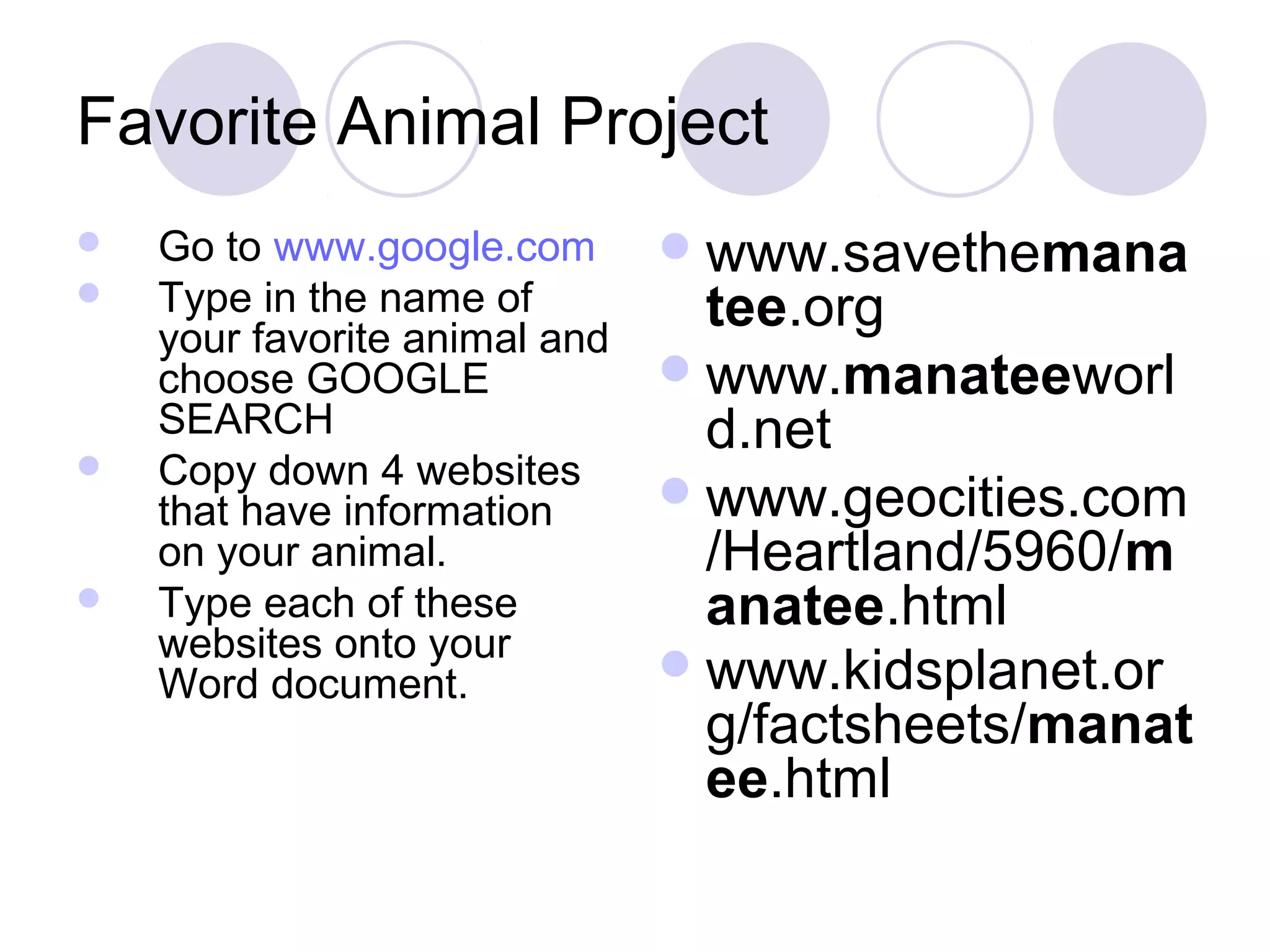 Favorite animal project | PPT