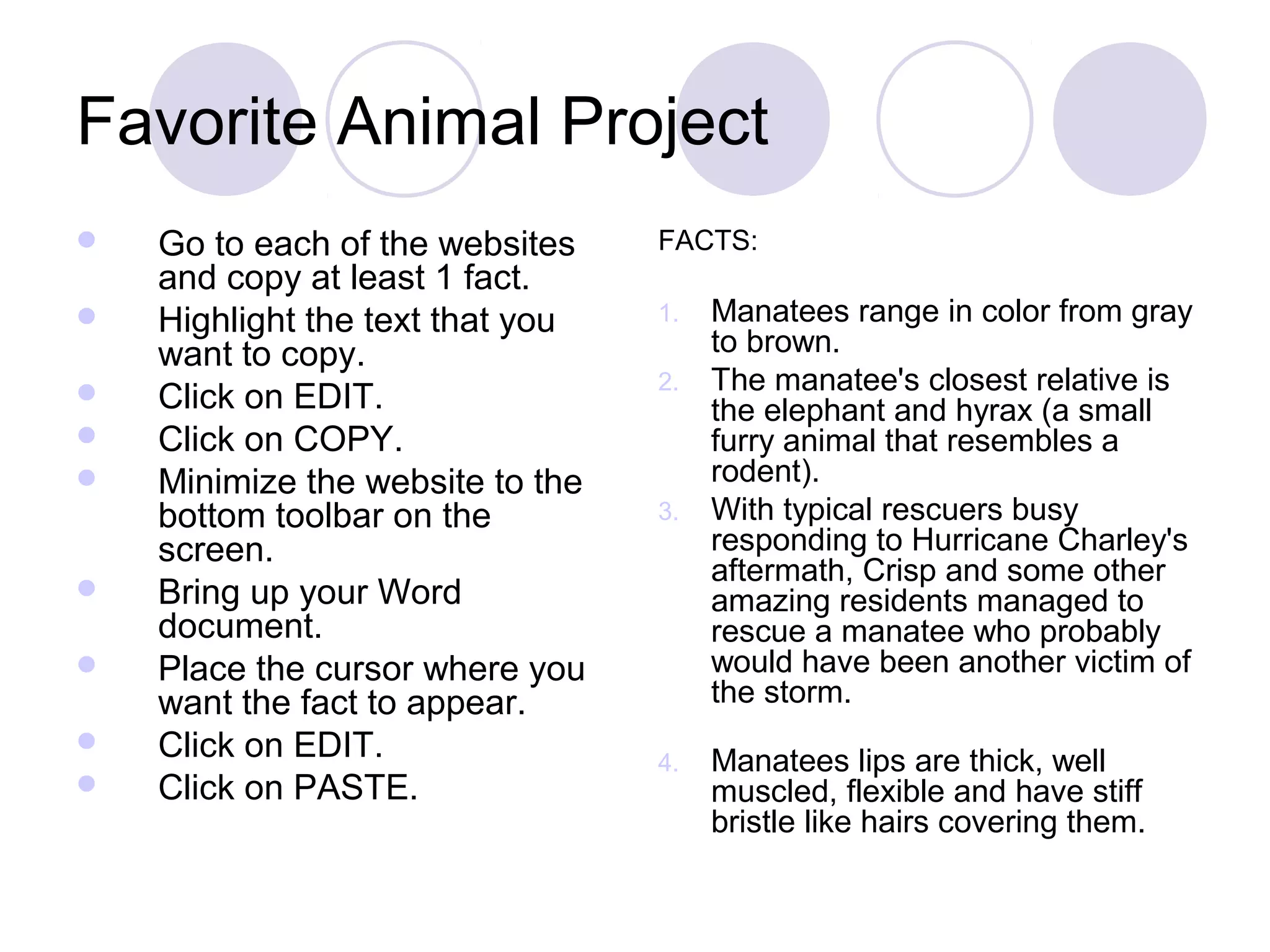 Favorite animal project | PPT