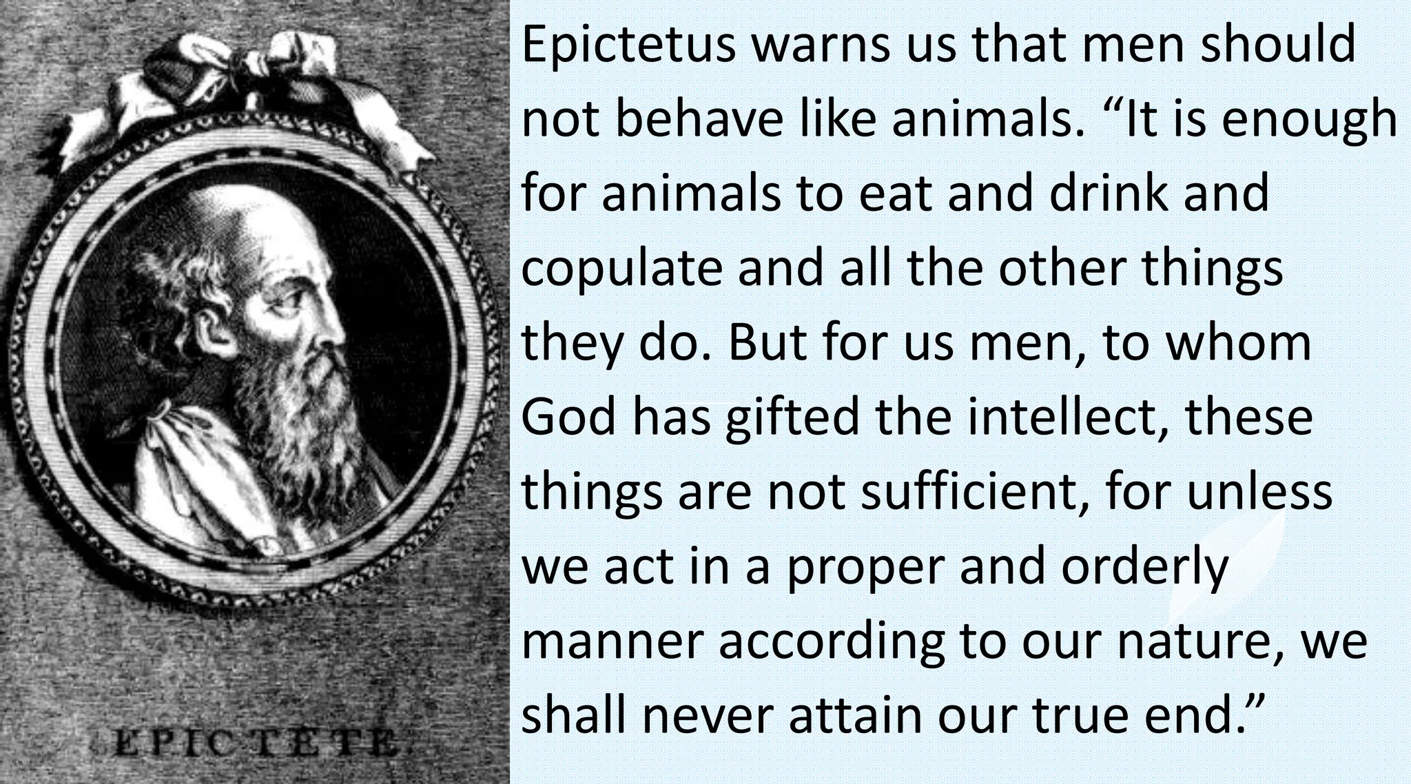 Major Roman Stoic Philosophers, My Favorite Maxims: Epictetus, Rufus ...