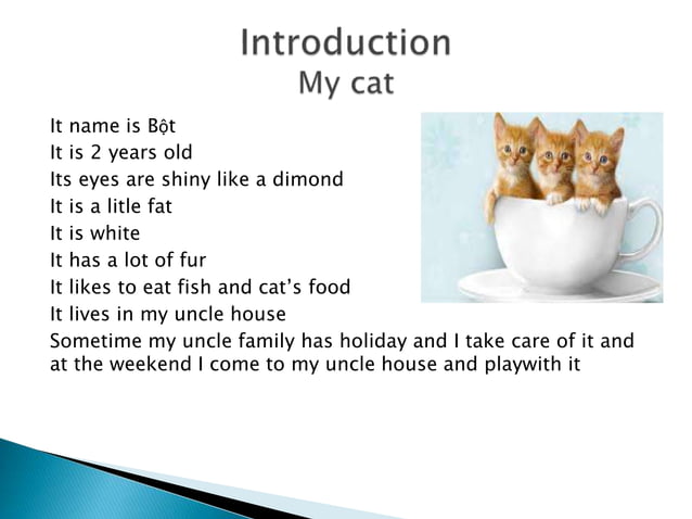 My favourite Pet | PPTX