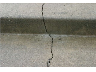 Favorite Pics | PPTX