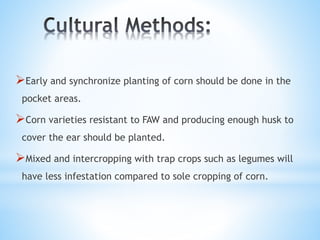 Fall Armyworm (FAW) and its damage in Nepal | PPTX