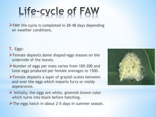 Fall Armyworm (FAW) and its damage in Nepal | PPTX