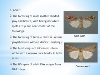 Fall Armyworm (FAW) and its damage in Nepal | PPTX
