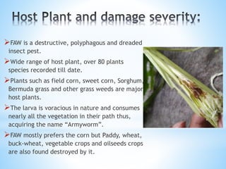 Fall Armyworm (FAW) and its damage in Nepal | PPTX