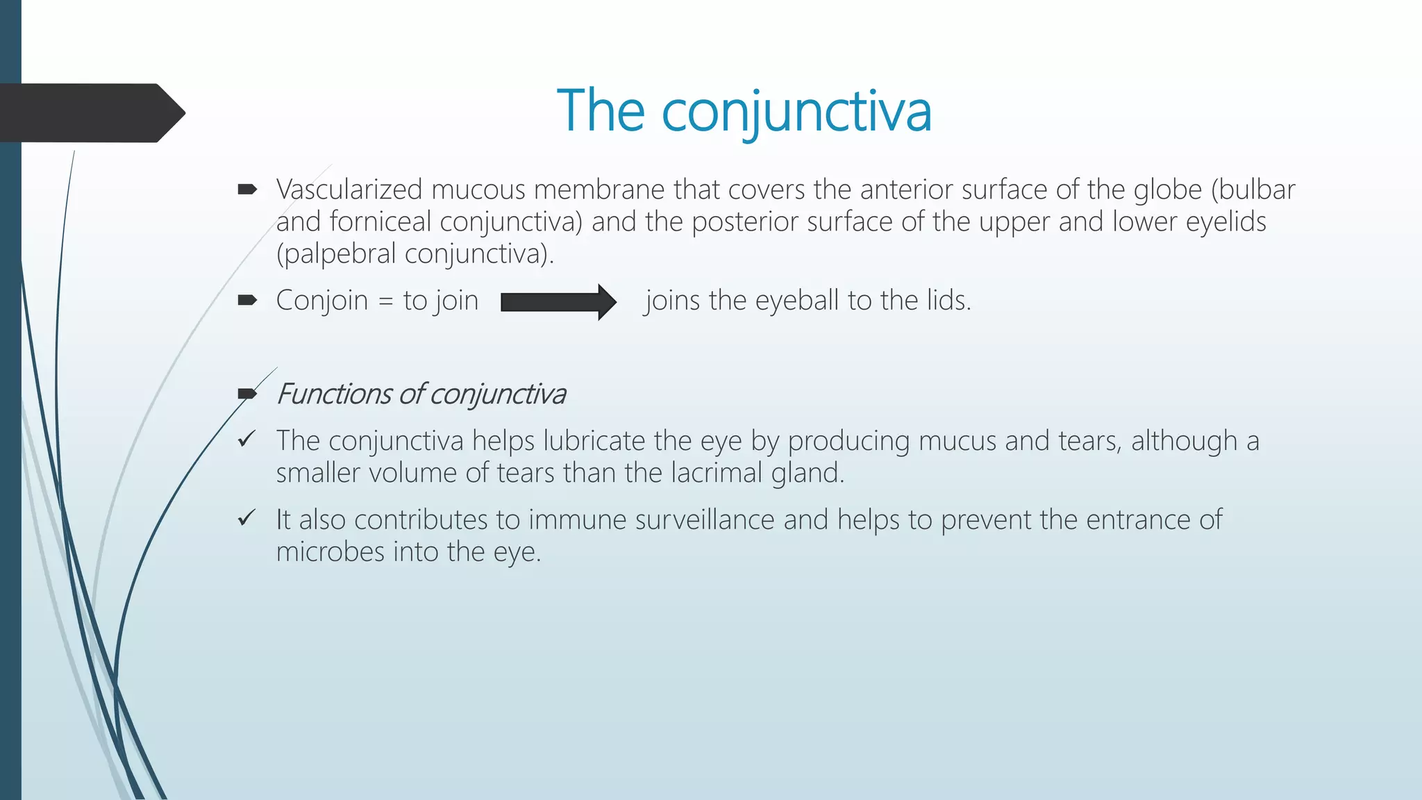 cornea, conjunctiva and sclera | PPTX
