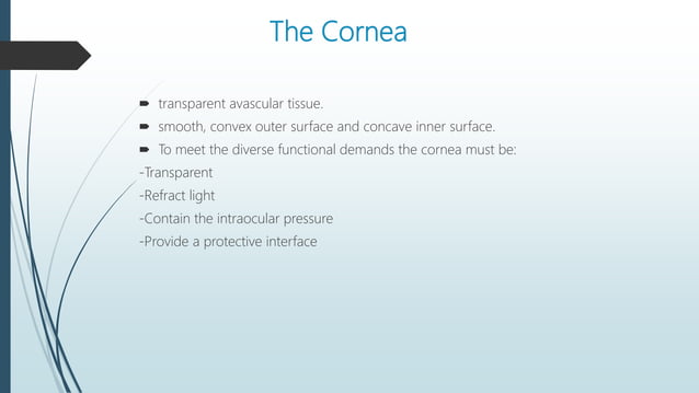 Cornea Conjunctiva And Sclera Pptx Eye And Vision Conditions
