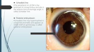 cornea, conjunctiva and sclera | PPT