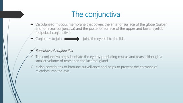 cornea, conjunctiva and sclera | PPTX | Eye and Vision Conditions ...