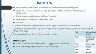 cornea, conjunctiva and sclera | PPTX