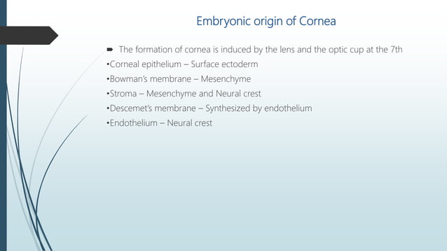 Cornea Conjunctiva And Sclera Pptx Eye And Vision Conditions