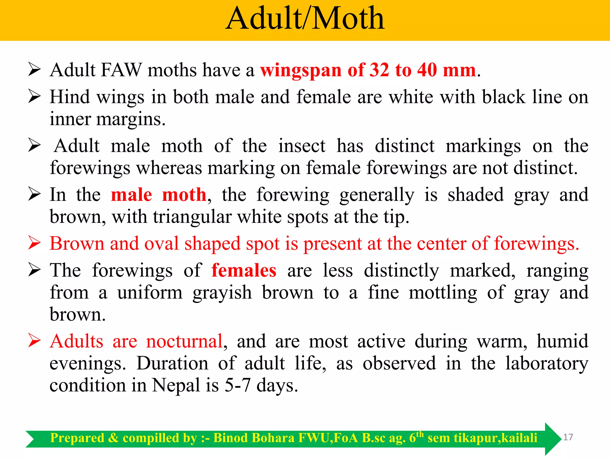 Fall Armyworm (Spodoptera frugiperda) FAW | PDF
