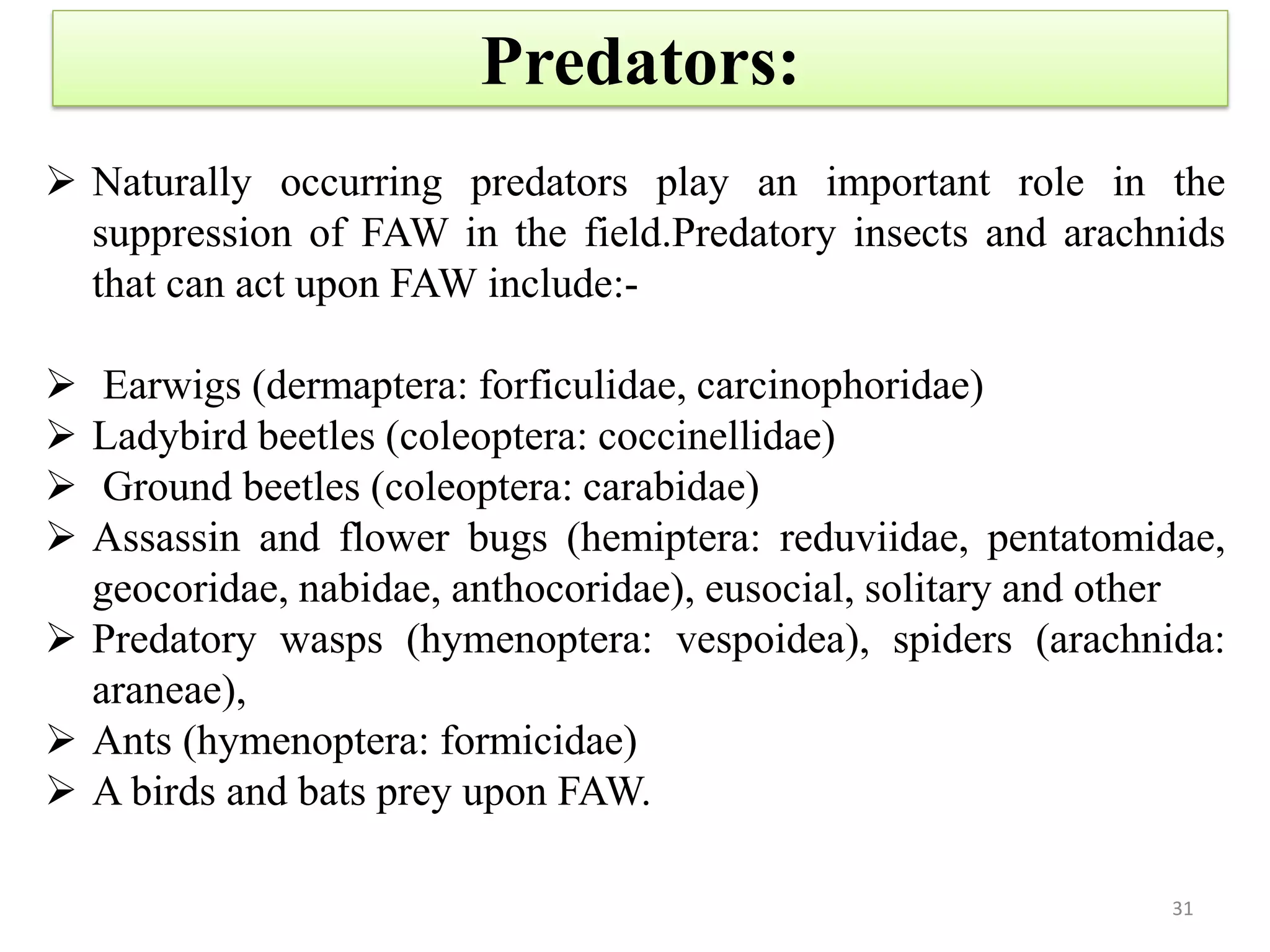 Fall Armyworm (Spodoptera frugiperda) FAW | PDF
