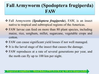 Fall Armyworm (Spodoptera frugiperda) FAW | PDF