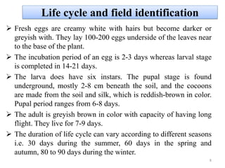 Fall Armyworm (Spodoptera frugiperda) FAW | PDF