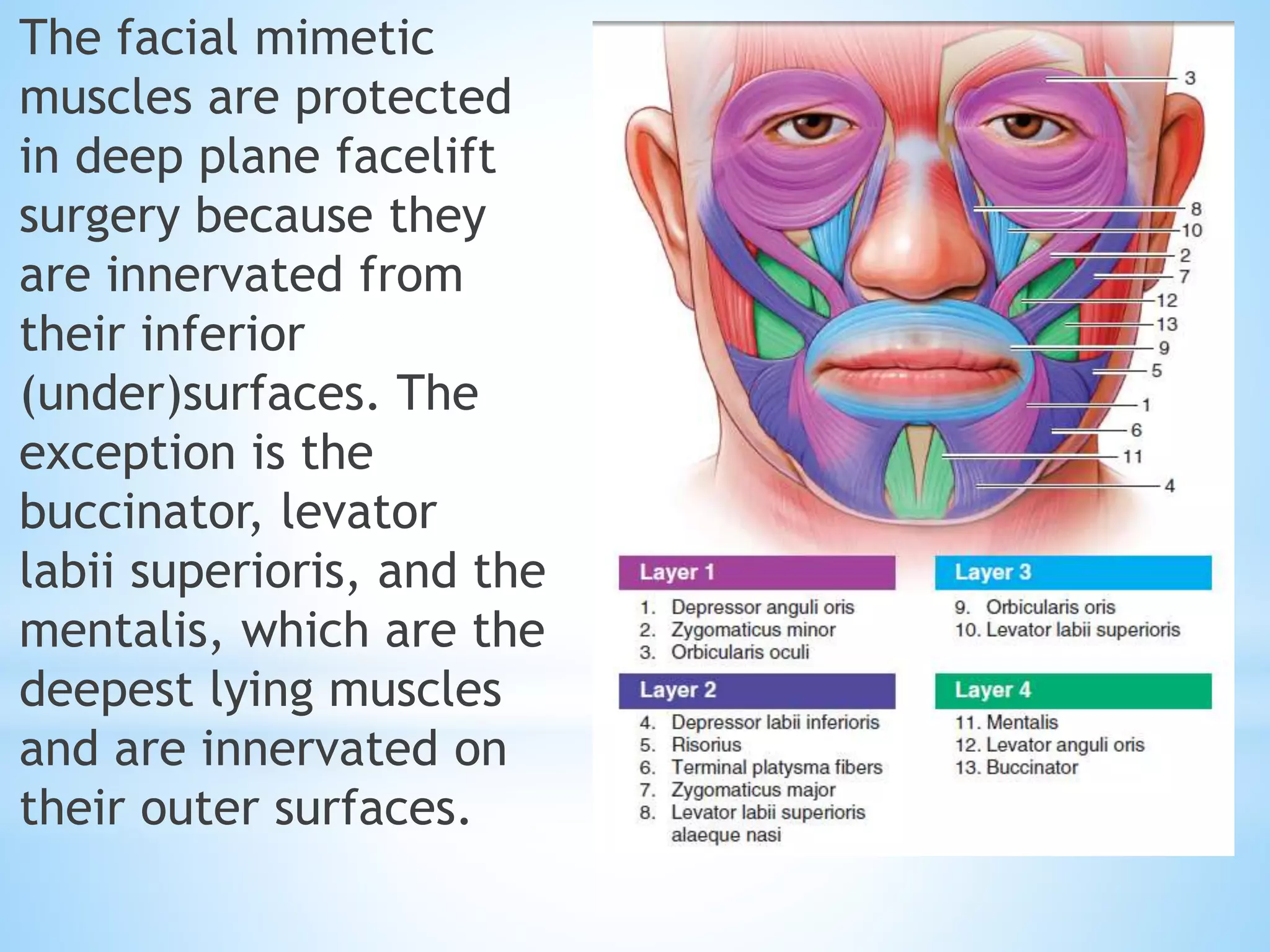 Fawzy A Fat Compartments And Retaining Ligaments Of The Face Ppt