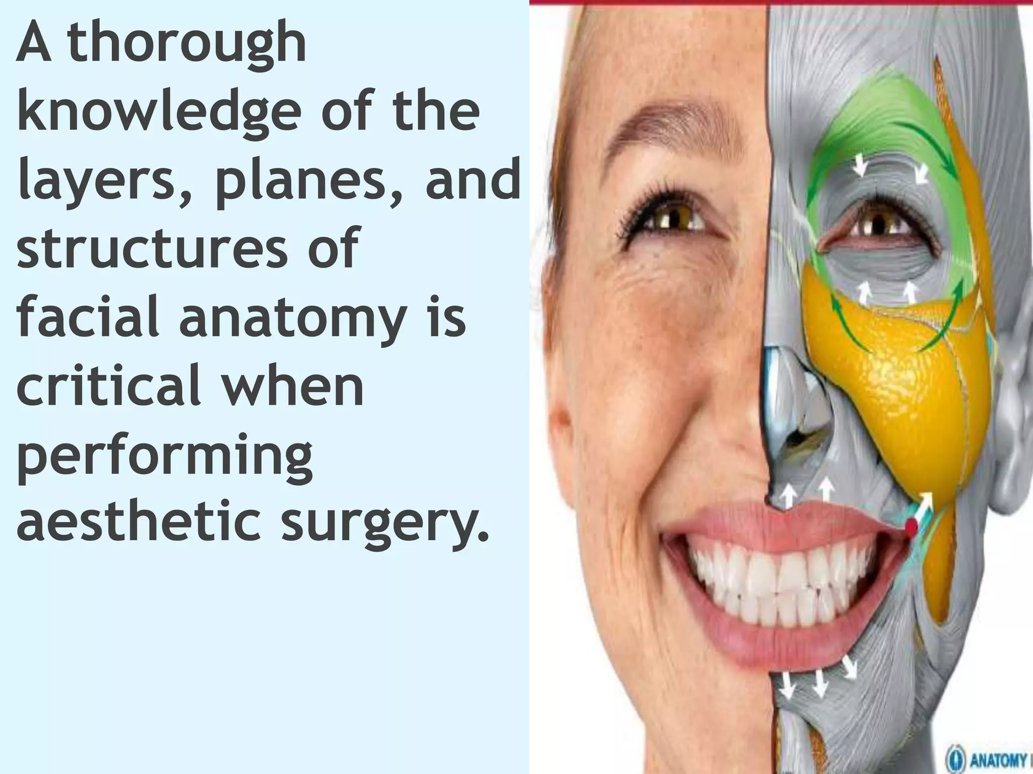 Fawzy a fat compartments and retaining ligaments of the face | PPTX