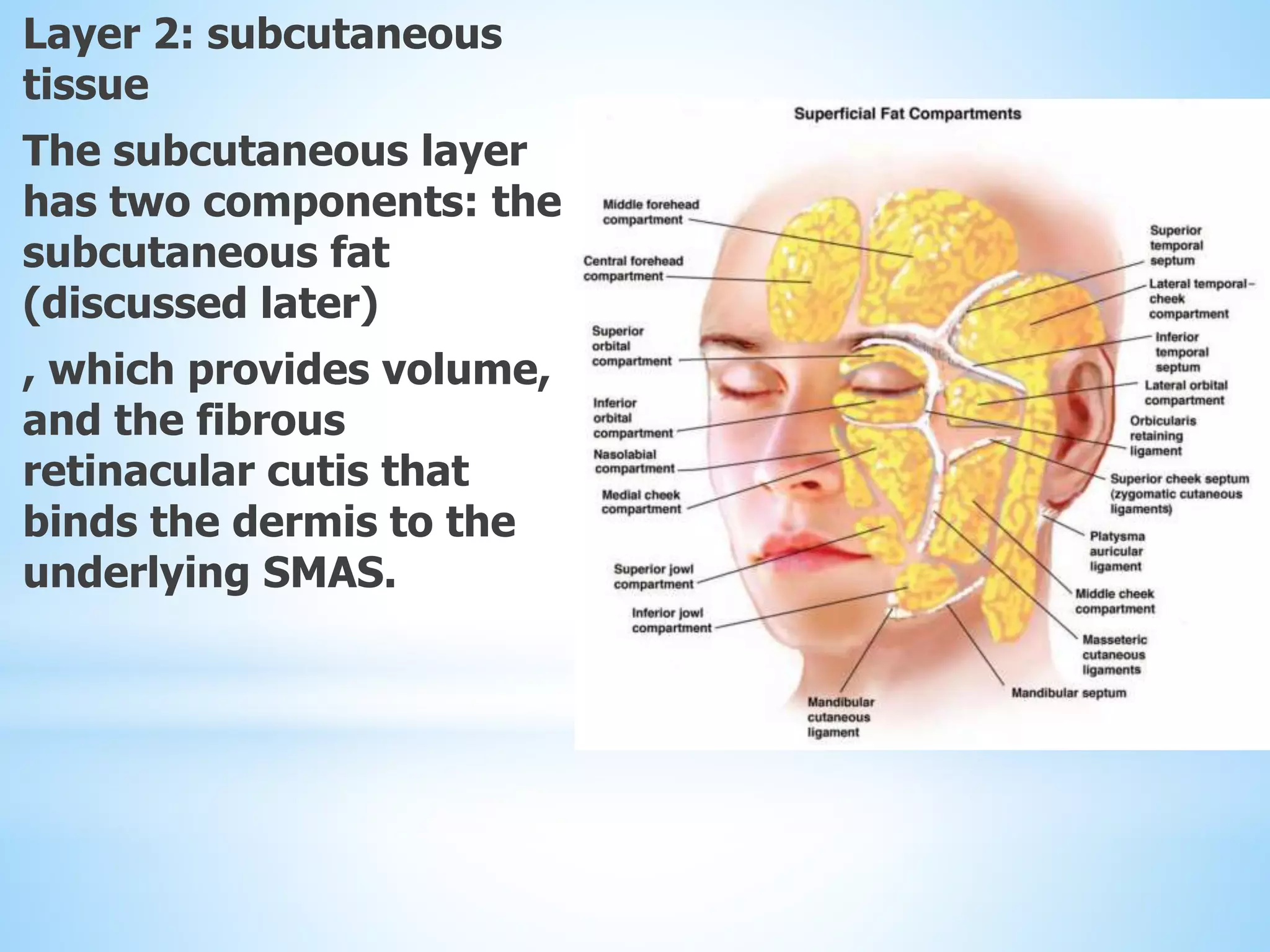 Fawzy a fat compartments and retaining ligaments of the face | PPTX