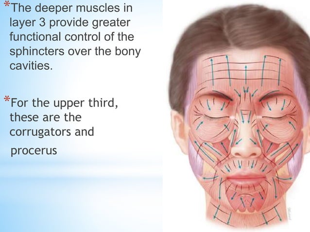 Fawzy a fat compartments and retaining ligaments of the face | PPTX