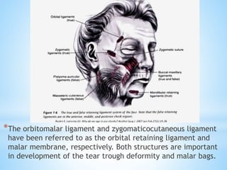 Fawzy a fat compartments and retaining ligaments of the face | PPTX