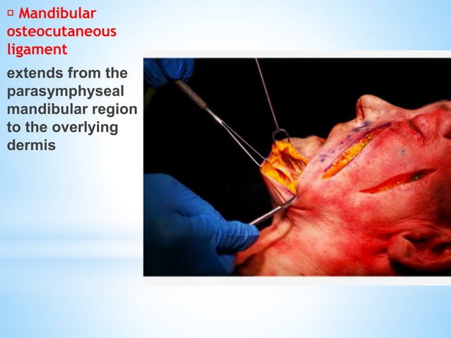Fawzy a fat compartments and retaining ligaments of the face | PPTX