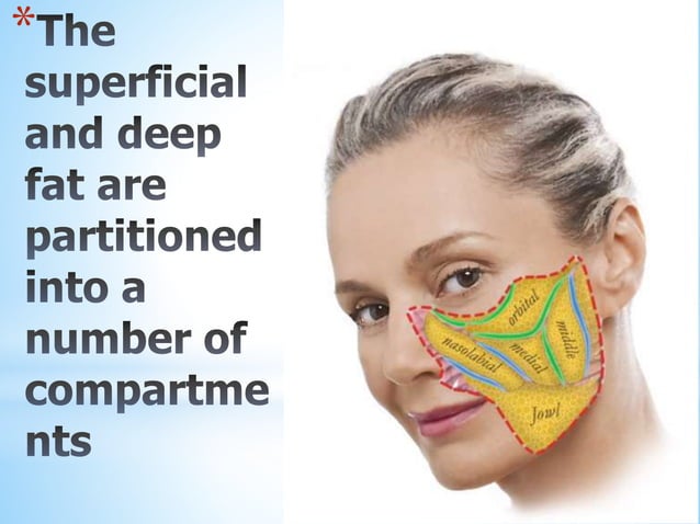 Fawzy a fat compartments and retaining ligaments of the face | PPTX