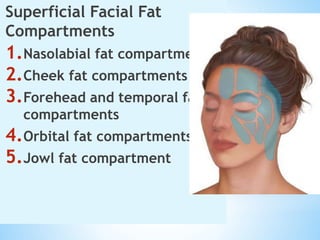 Fawzy a fat compartments and retaining ligaments of the face | PPTX