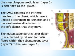 Fawzy a fat compartments and retaining ligaments of the face | PPTX