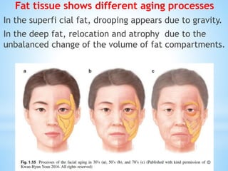 Fawzy a fat compartments and retaining ligaments of the face | PPTX