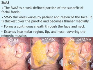 Fawzy a fat compartments and retaining ligaments of the face | PPTX