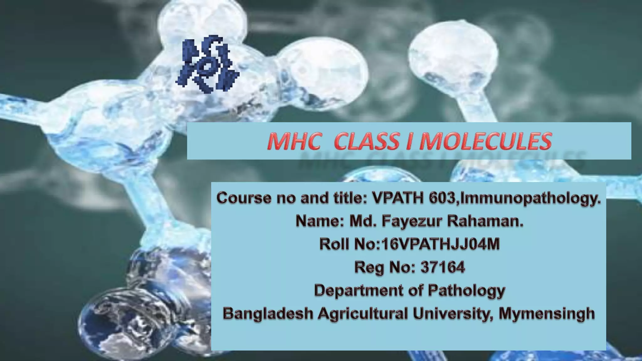 MHC I molecules | PPT