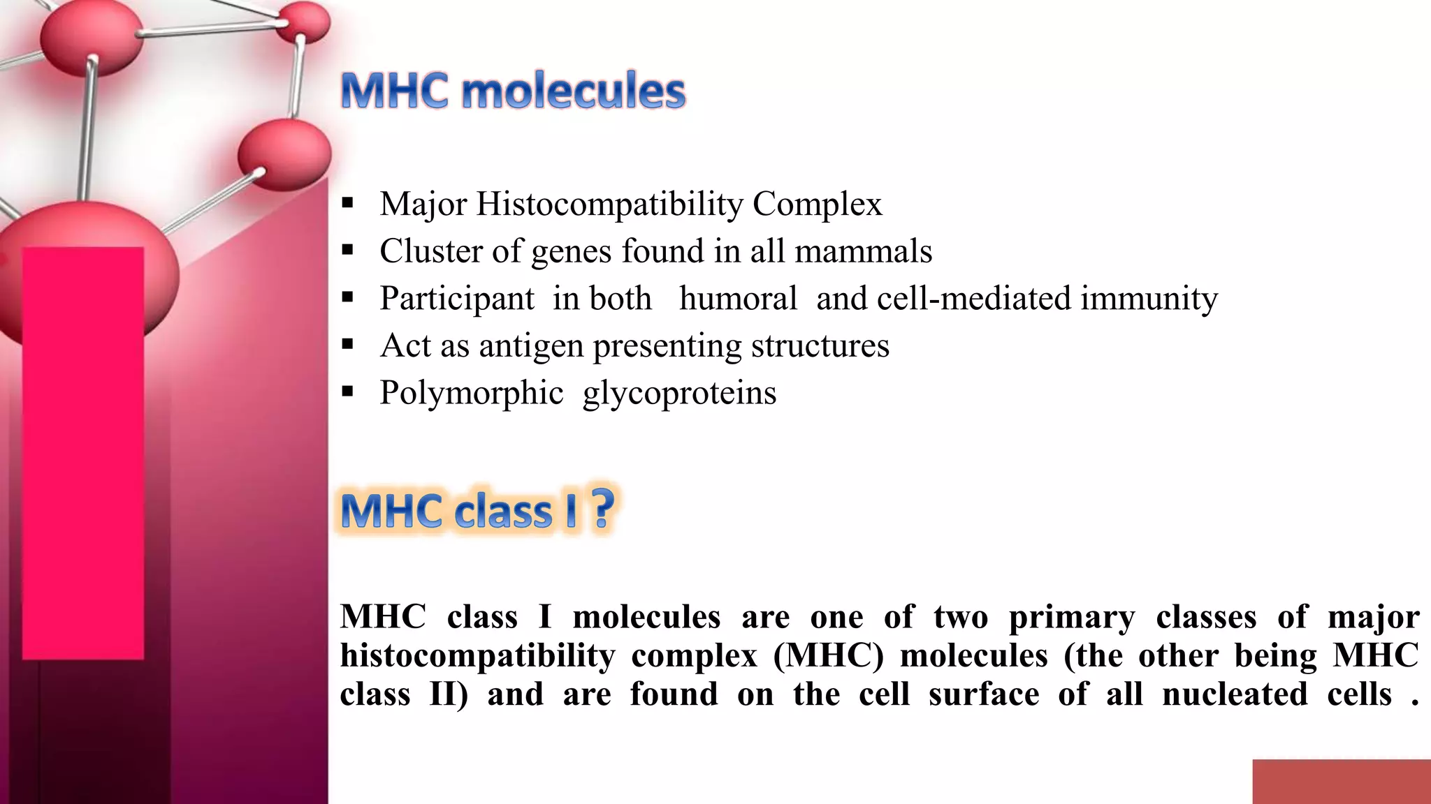 MHC I molecules | PPT