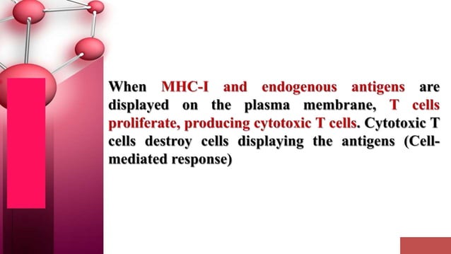 MHC I molecules | PPT