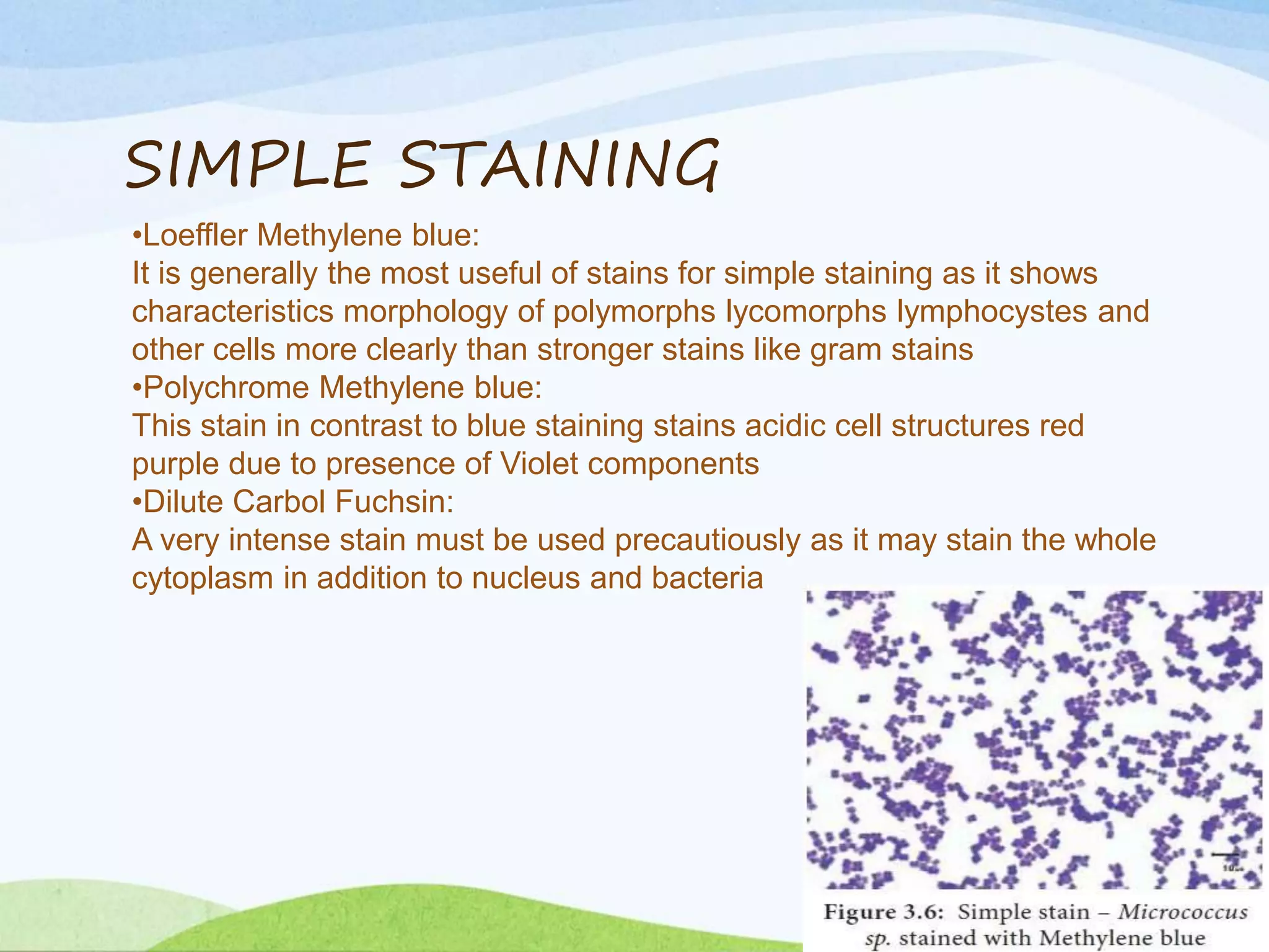 staining technique.pptx
