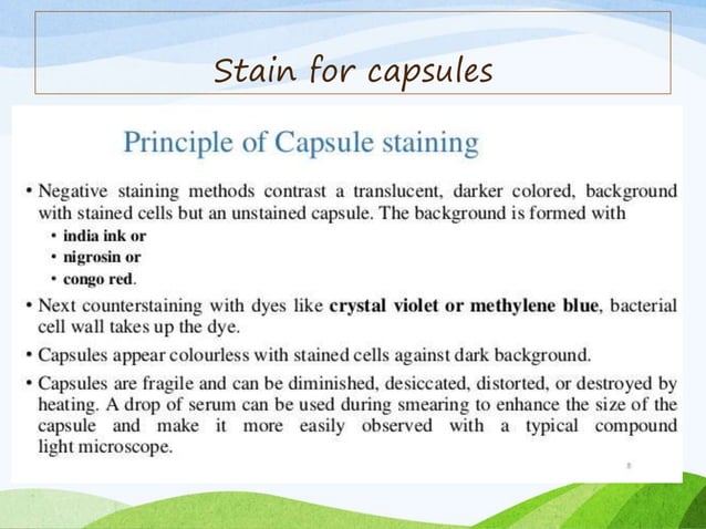 staining technique.pptx