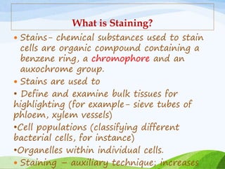 staining technique.pptx