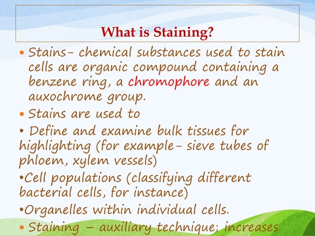 staining technique.pptx