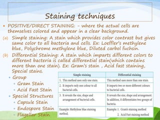 staining technique.pptx