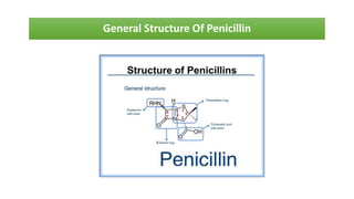 Penicillin | PPTX