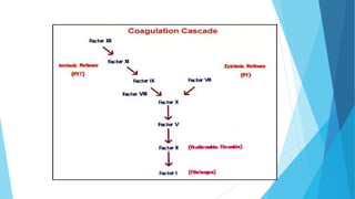Factor Viii Hemophilia | PPTX