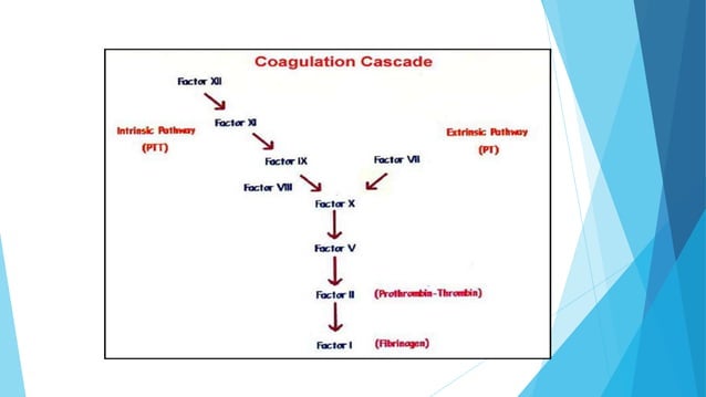 Factor Viii Hemophilia | PPTX