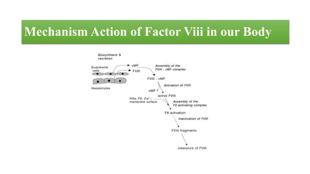 Factor Viii Hemophilia | PPTX