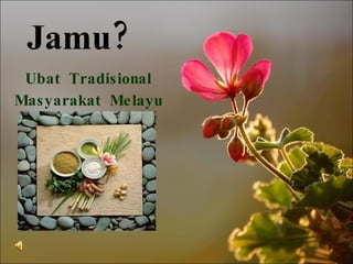 Ubat Tradisional - Jamu? | PPS