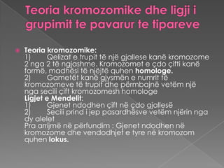 Fazat e gjenetikes moderne | PPTX