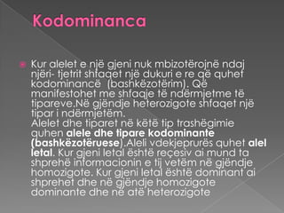 Fazat e gjenetikes moderne | PPTX