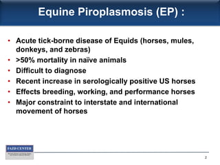 Fazd equine piroplasmosis | PPTX